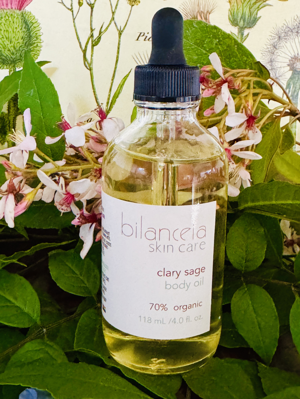 Clary Sage Body Oil | Bilanceia