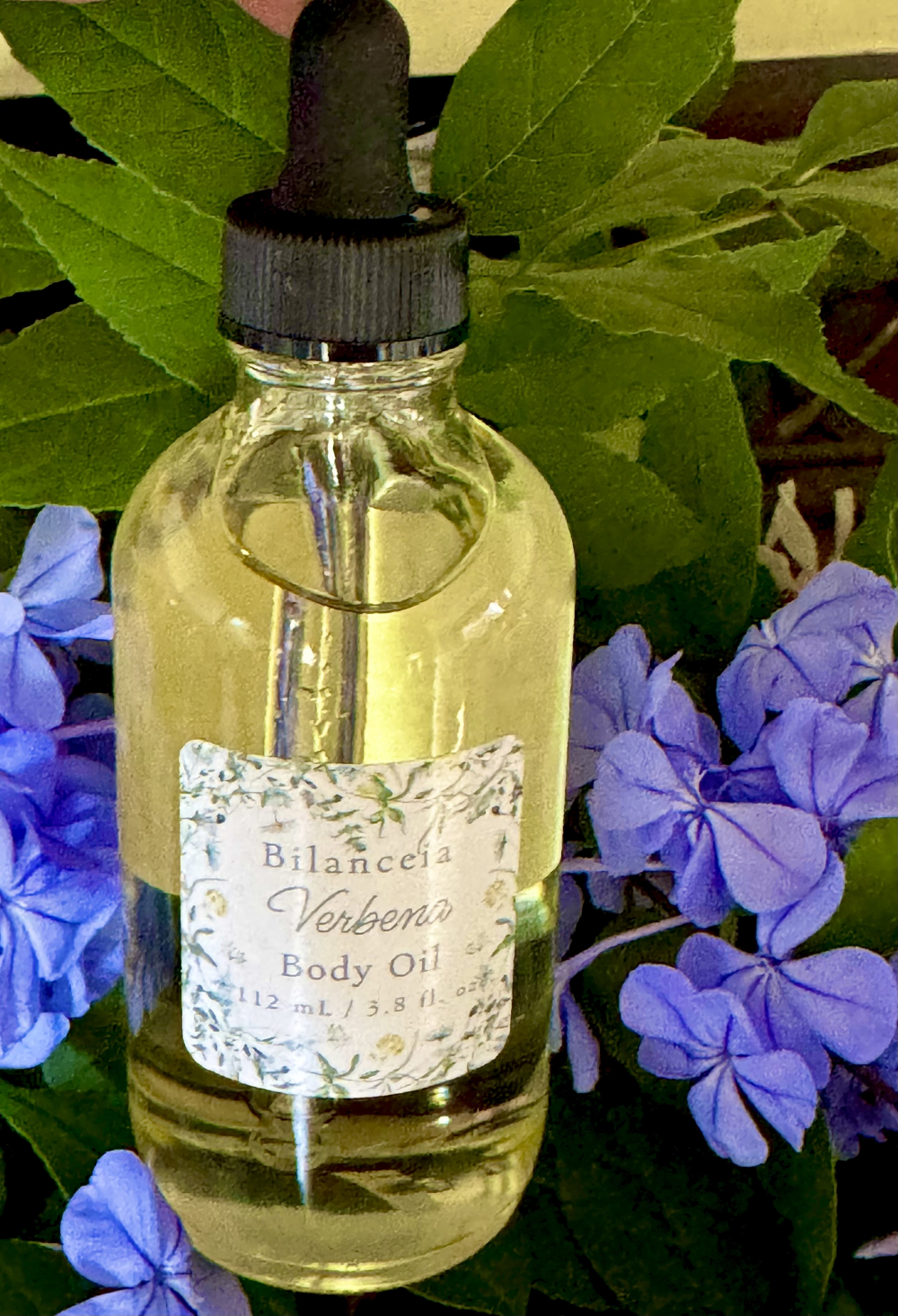 VERBENA OIL | Bilanceia
